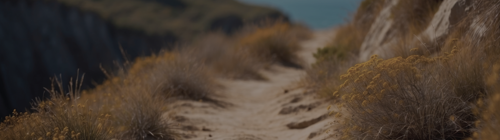 The Gospel Of Matthew | Grace Church Noblesville